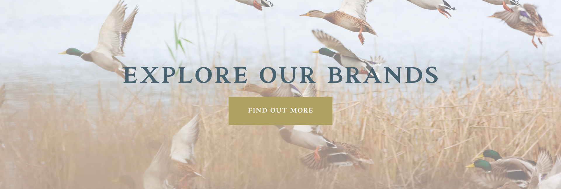 Norton's – shopnortons