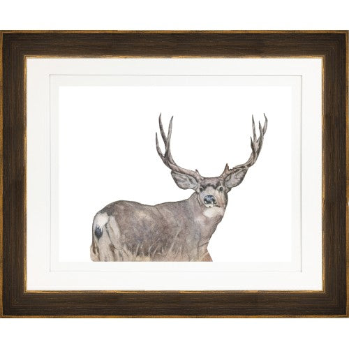 Deer 4 Frame – shopnortons